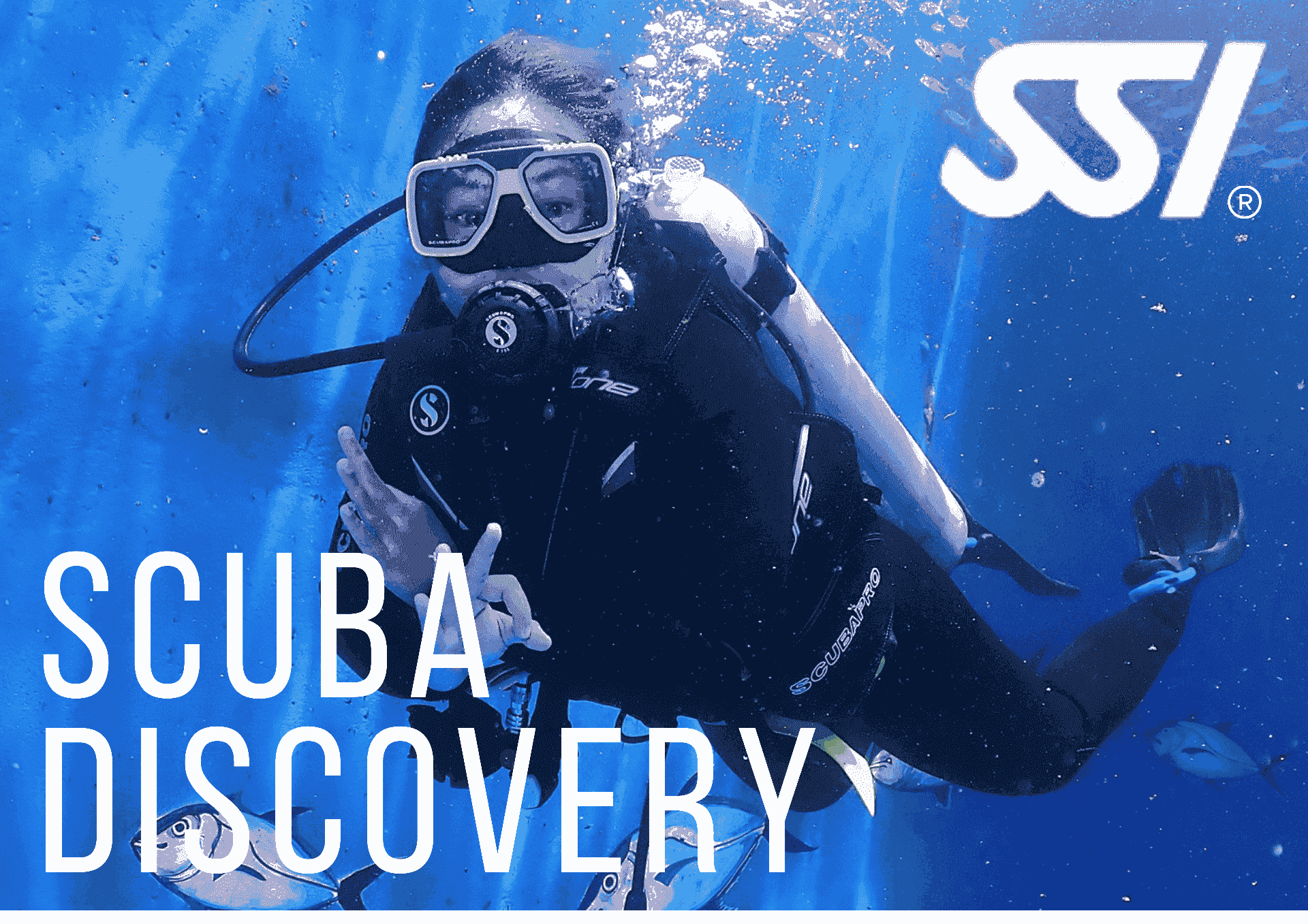 Silver Reef Dive Resort Packages | Leisure, Diving & Apo Island Trips ...